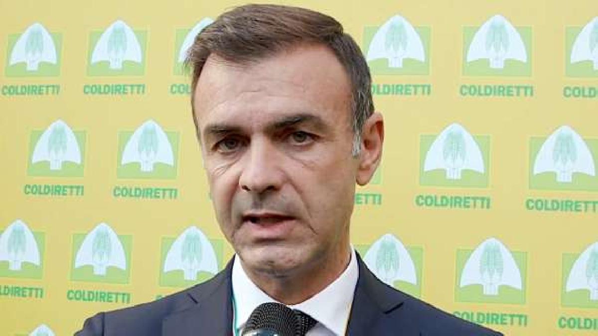 Coldiretti - TREVISO